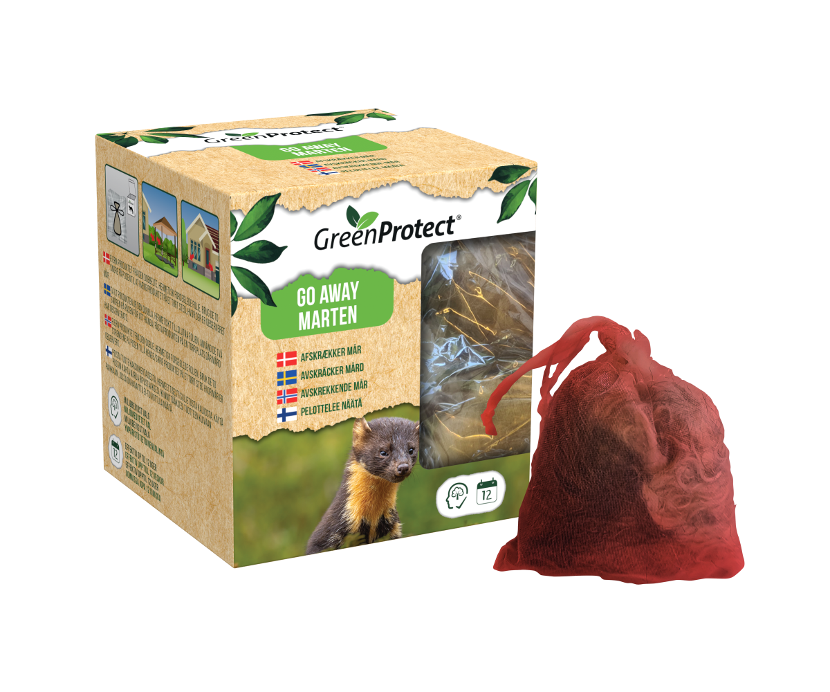 GO AWAY MARTEN Mår - Salka Horse - KELAX ApS